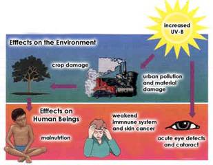 TNAU Agritech Portal :: Environment and Pollution
