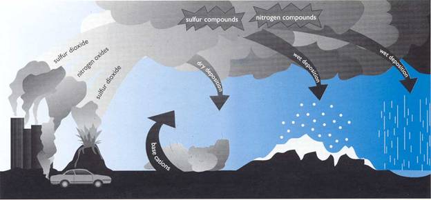 TNAU Agritech Portal :: Environment and Pollution