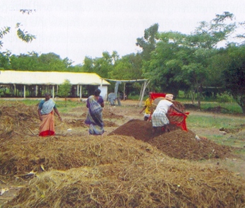 ORGANIC FARMING :: Composting